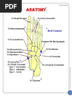 Podiatry Terms Glossary | PDF | Toe | Foot
