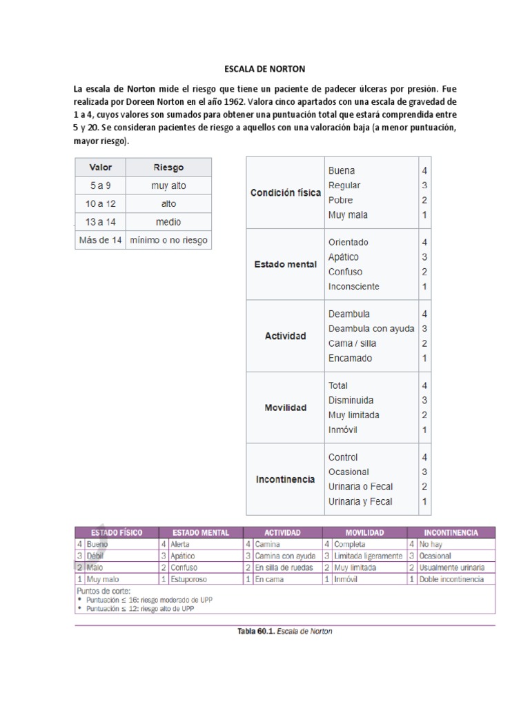 Escala de Norton | PDF