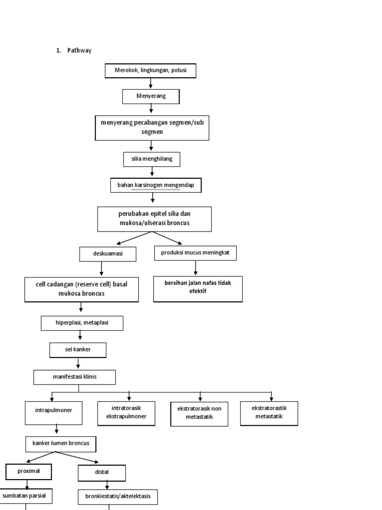 Pathway CA Paru | PDF