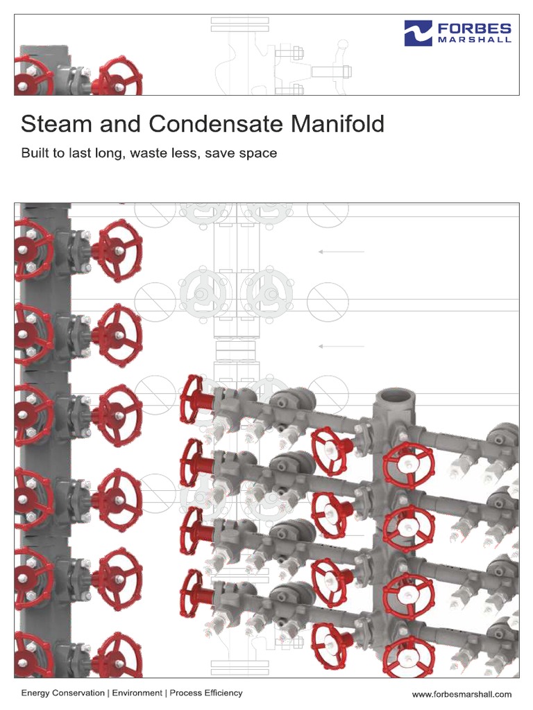Brochure Steam and Condensate Manifolds | PDF