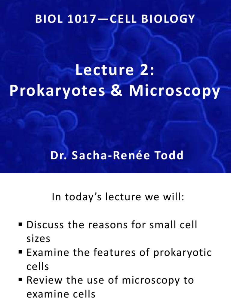 Biol 1017-Cell Biology: Prokaryotes & Micros | PDF | Microscopy | Bacteria