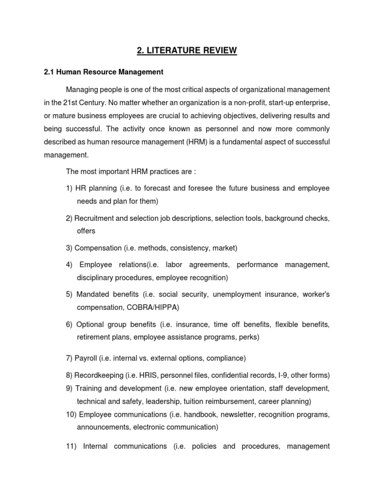 Literature Review | PDF | Employment | Human Resource Management