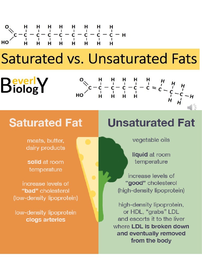 Differences Between Saturated Fats and Unsaturated Fats | PDF