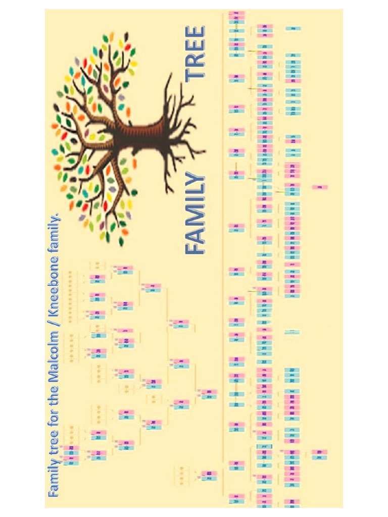 Latest Updated Family Tree For The Malcolm / Kneebone Family | PDF