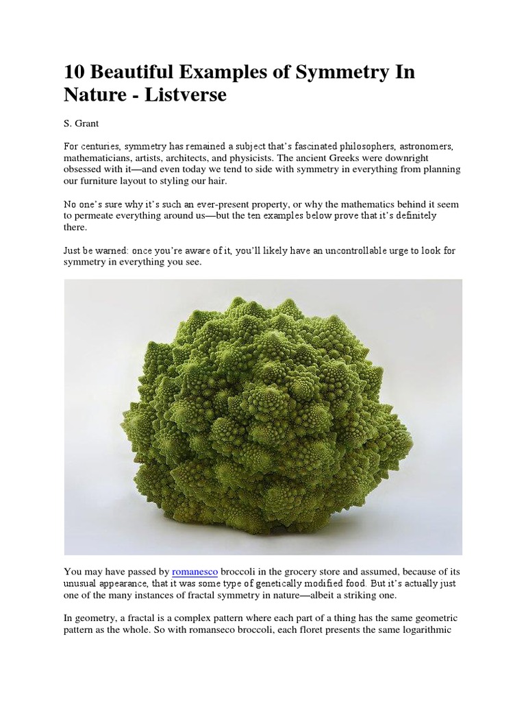 10 Beautiful Examples of Symmetry in Nature | PDF | Solar Eclipse | Sun