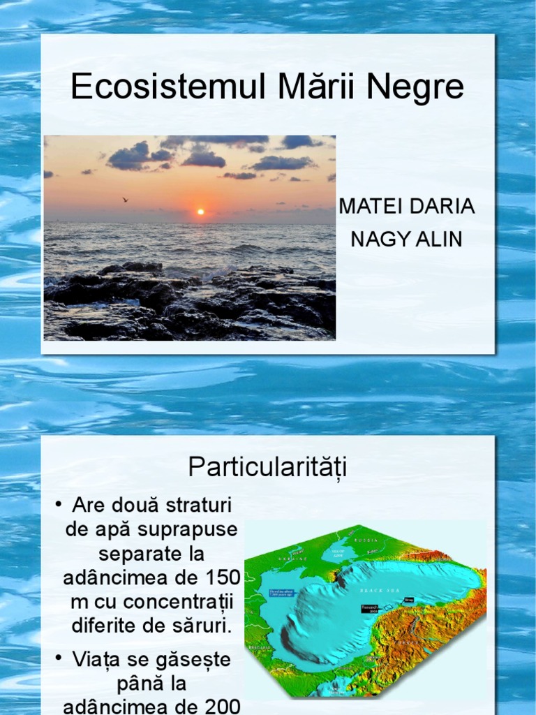 Ecosistemul Marii Negre - PPT - 1 | PDF