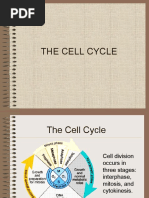Cell Cycle: Mitosis and Cytokinesis Overview | PDF | Mitosis | Cell Cycle
