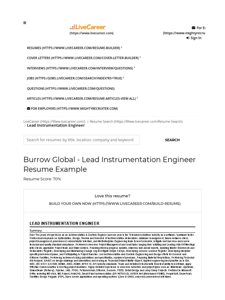 Burrow Global - Lead Instrumentation Engineer Resume Example | Download ...
