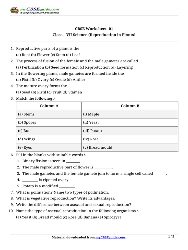 7 Science Worksheet Ch12 1 | PDF | Sexual Reproduction | Reproduction