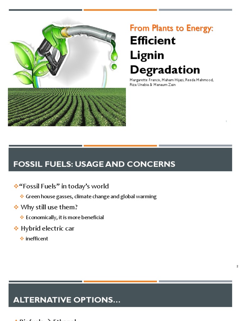 From Plants To Energy:: Efficient Lignin Degradation | PDF | Crispr ...