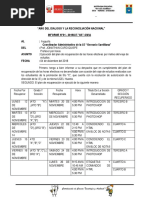 Modelo de Informe de Examen de Subsanacion | PDF