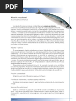 Ficha Técnica Enbrace Standard 500 ML | PDF | Petróleo | Lípido