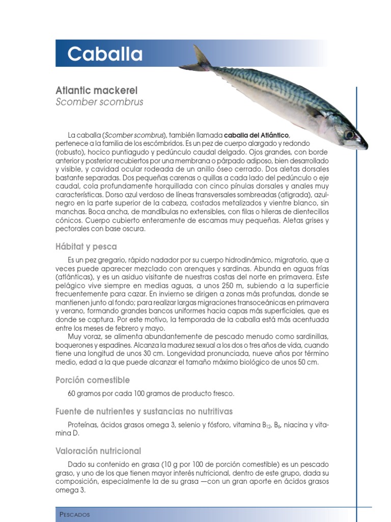 Valor nutricional de la caballa | PDF | Nutrición | Dieta y nutrición