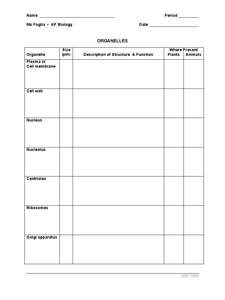 Organelles Study Guide | PDF