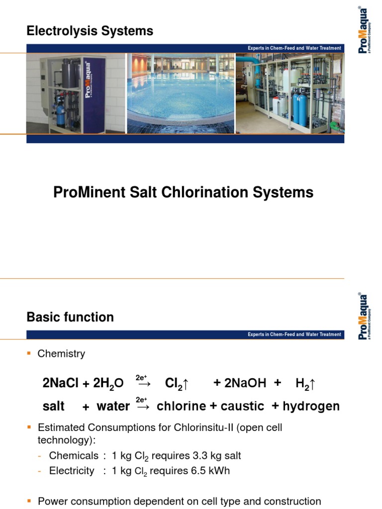 Prominent Salt Chlorination System | PDF | Sodium Chloride | Chlorine