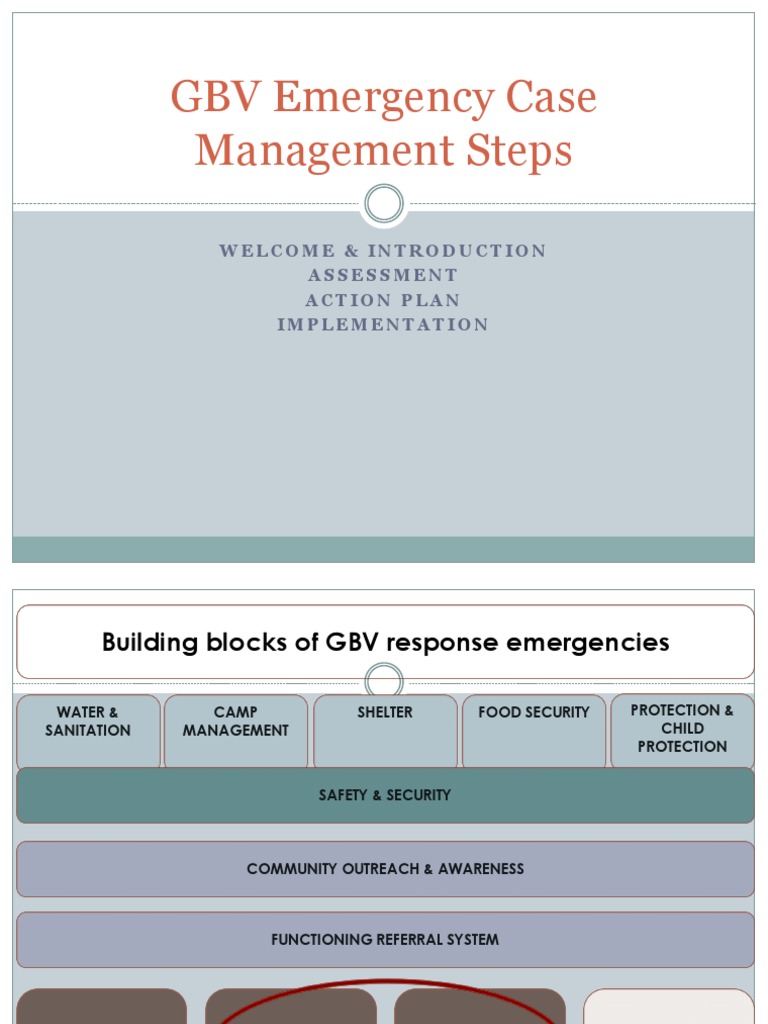 GBV Emergency Case Management Steps: Welcome & Introduction Assessment Action Plan ...