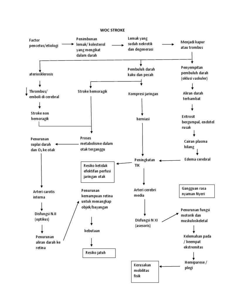 Pathway Stroke | PDF
