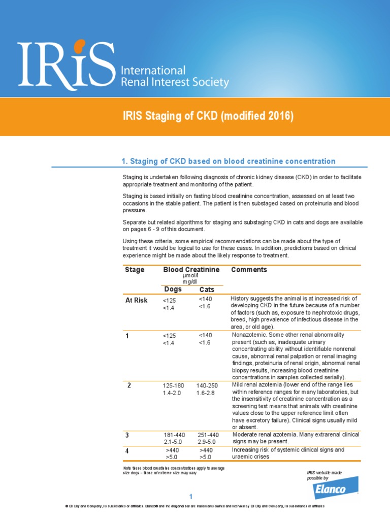 IRIS Staging of CKD (modified 2016) | Chronic Kidney Disease | Hypertension