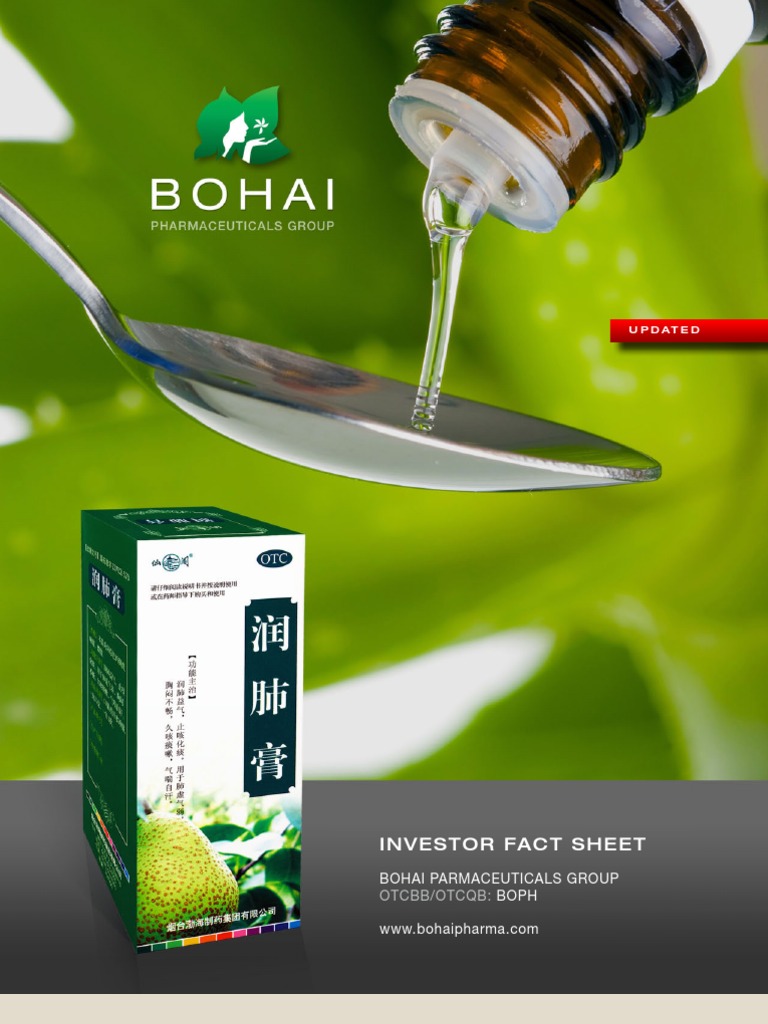 BOPH Investor Factsheet | PDF | China | World Politics
