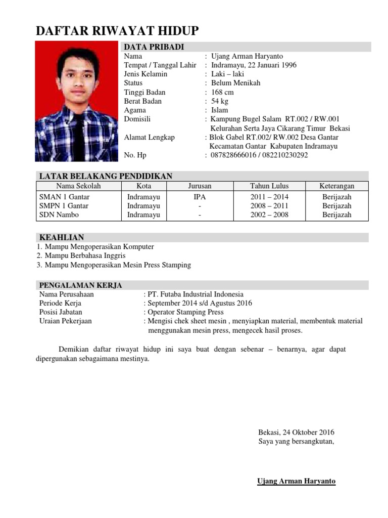 CV - Ujang Arman | PDF