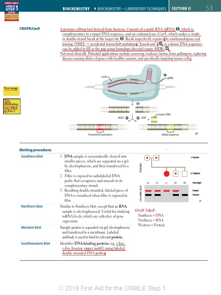 2019 First Aid for the USMLE Step 1 -- Example Redlined Sample ...