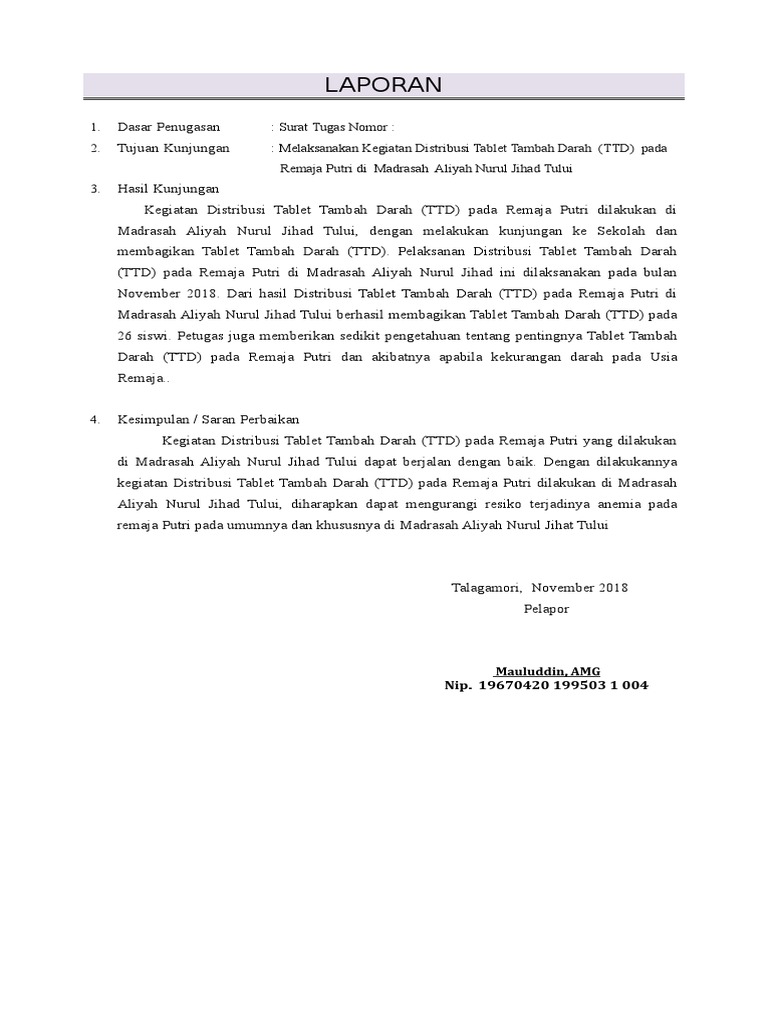 Laporan Pemberian TTD Rematri 2018 | PDF