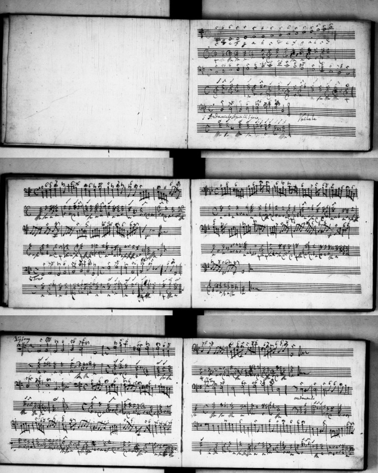 A-Wös 120 Digital Copy of The Vienna Baroque Lute Manuscript From The ...