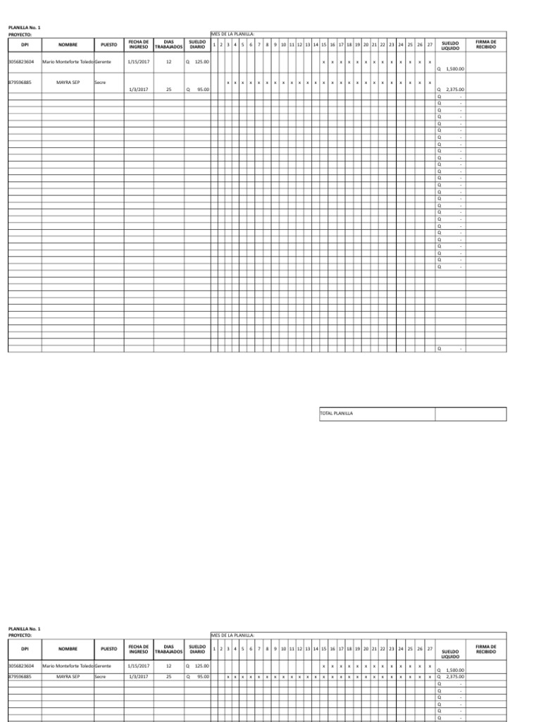 Modelo de Planilla en Blanco | PDF