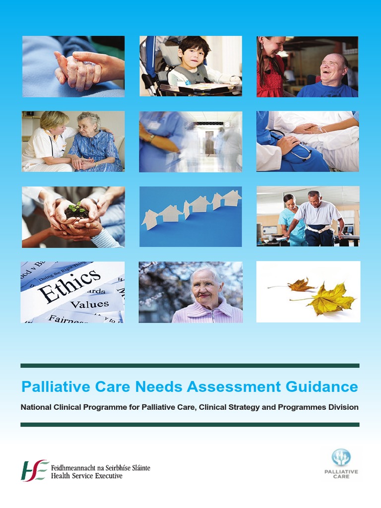 Palliative Care Needs Assessment Guidance | PDF | Palliative Care | End ...