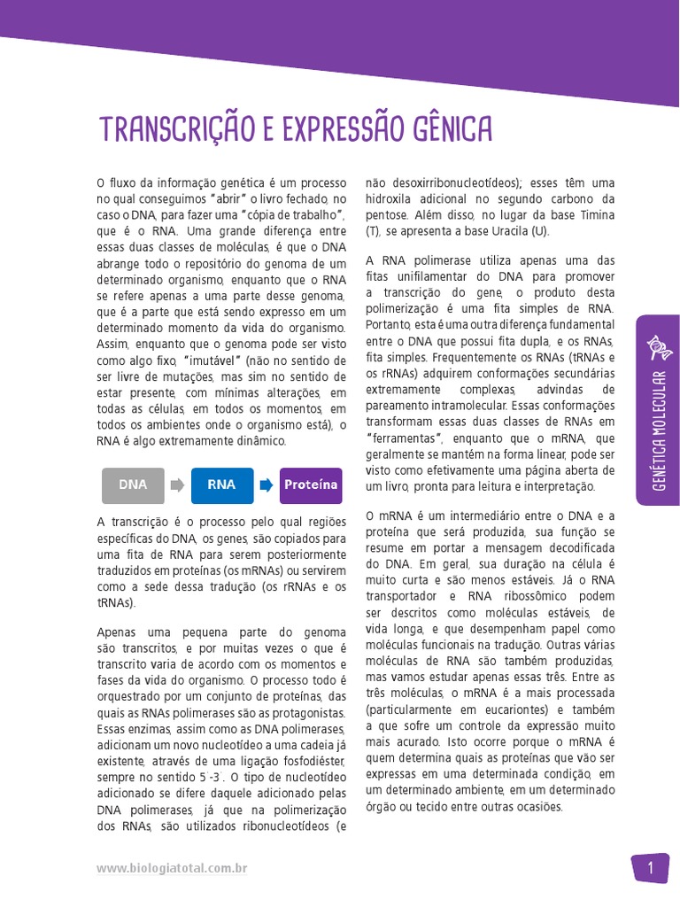 Transcrição e Expressão Gênica | PDF | RNA | RNA mensageiro