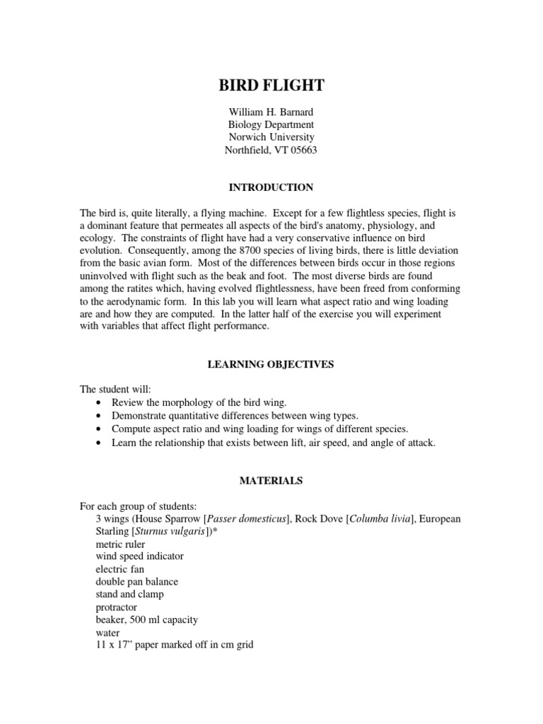 Bird Flight Mechanics Lab Guide | PDF | Wing | Lift (Force)