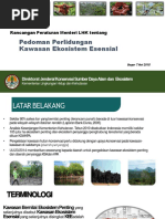 SK Piaps Revisi Ix | PDF