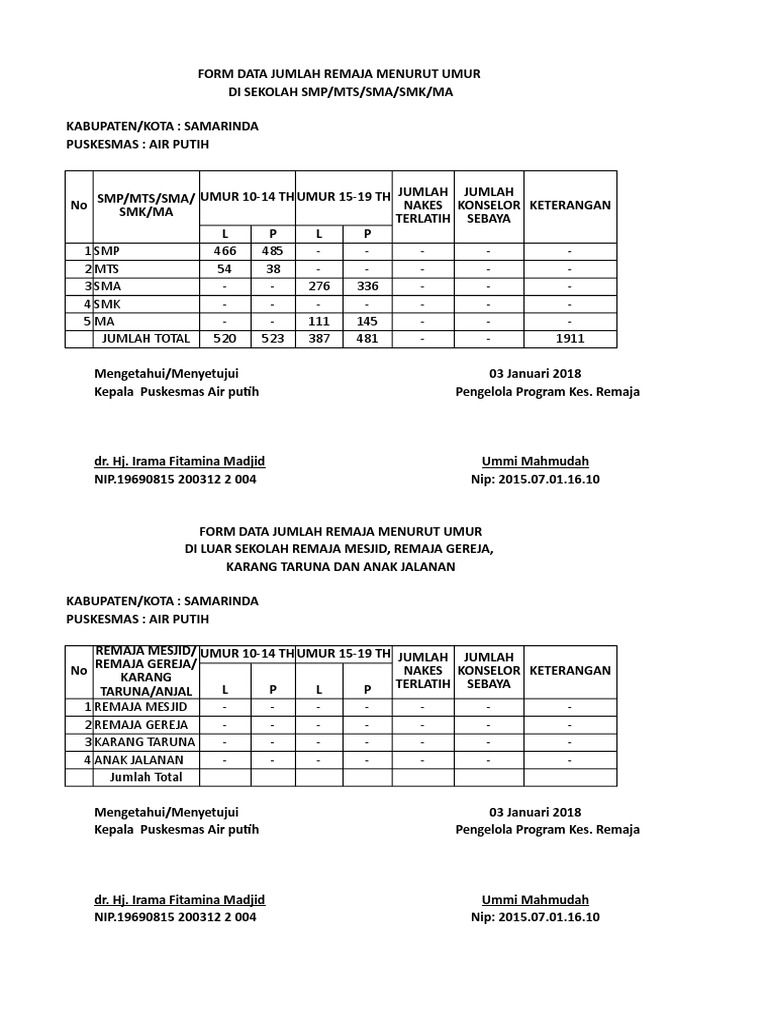 Format Laporan PKPR | PDF