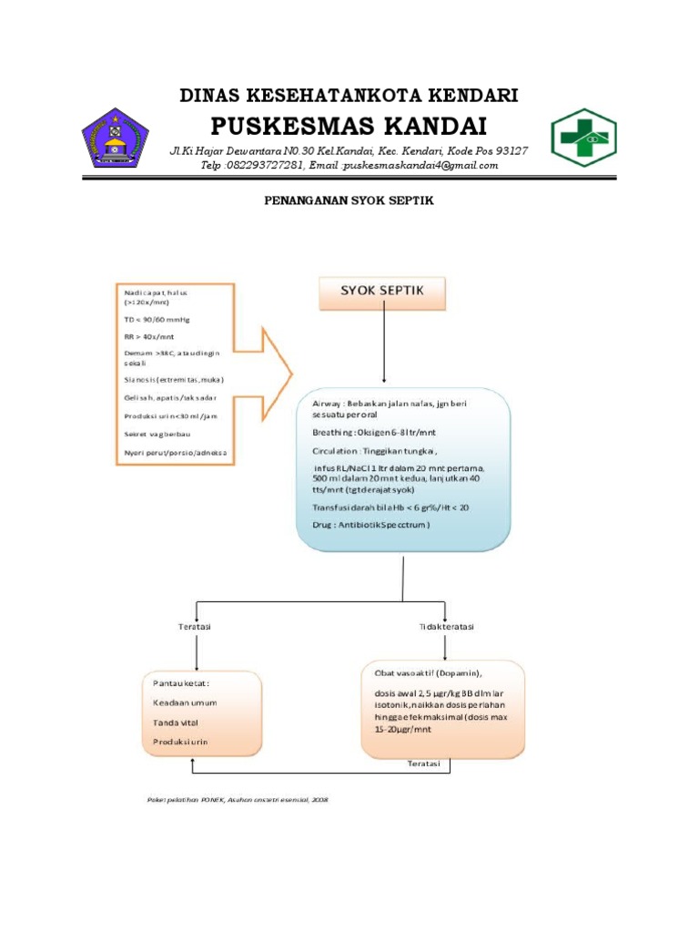 Puskesmas Kandai: Dinas Kesehatankota Kendari | PDF