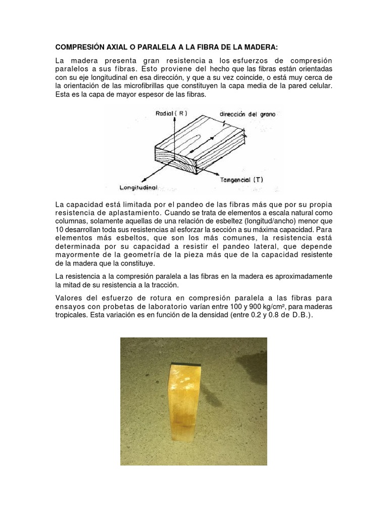 Compresión Axial o Paralela A La Fibra de La Madera | PDF | Pandeo | Madera