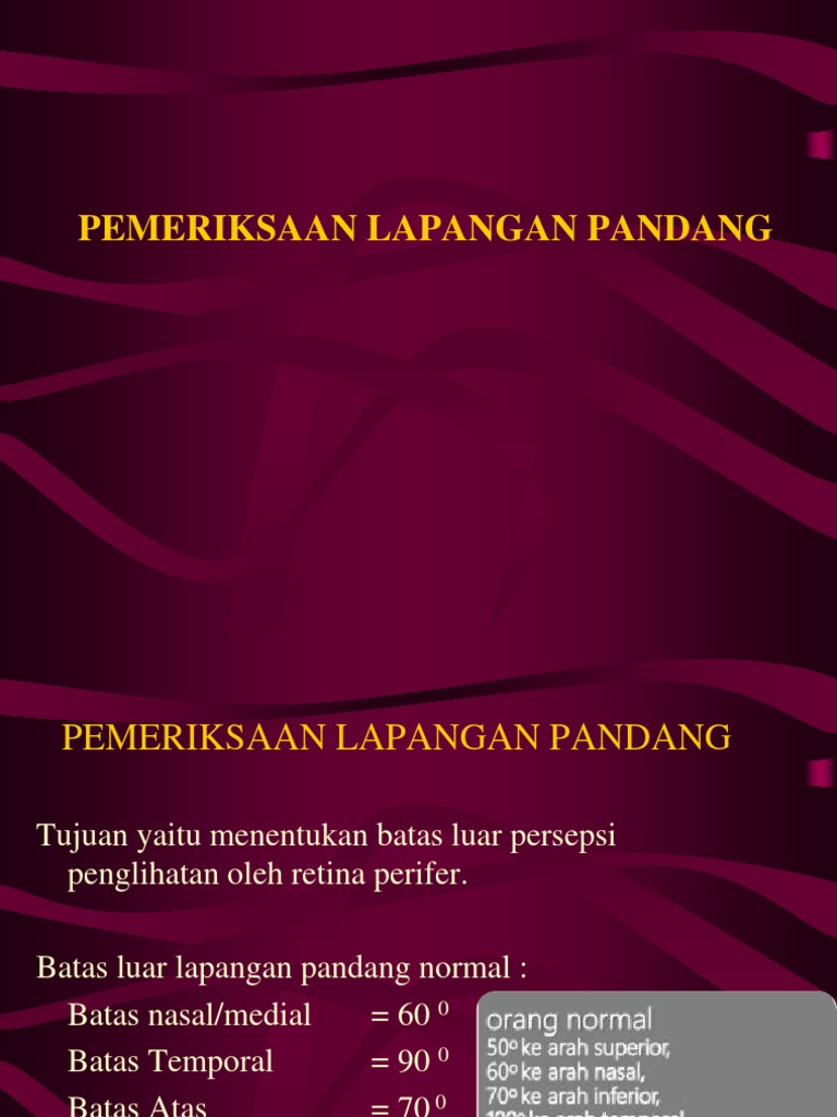 Pemeriksaan Lapang Pandang | PDF