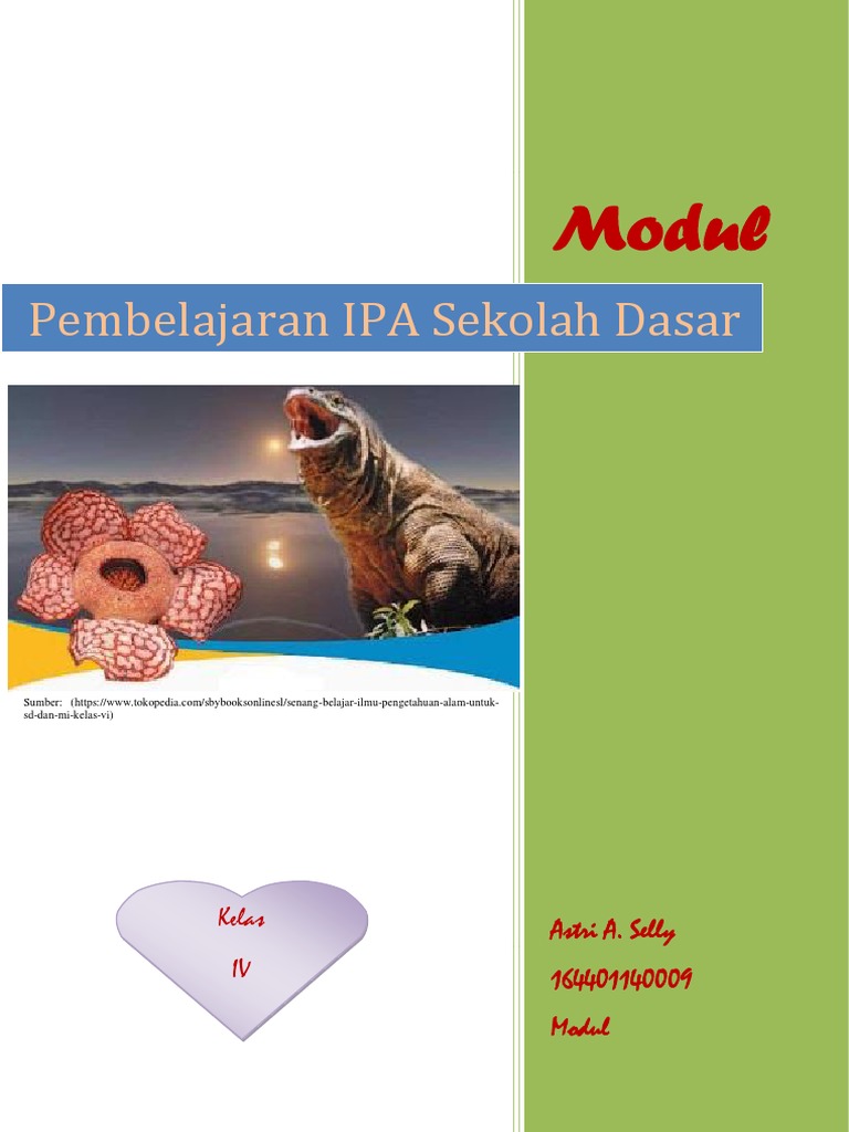 Modul Pembelajaran IPA | PDF | Sains & Matematika