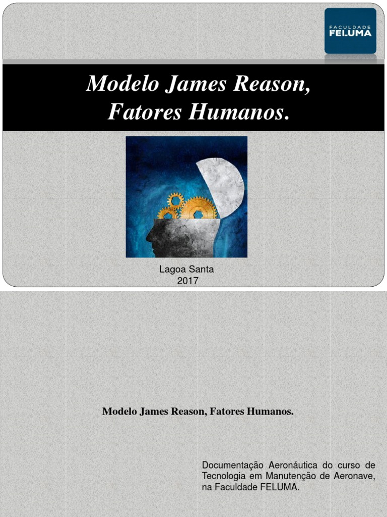 Modelo James Reason 1 | PDF | Humano | Suíça