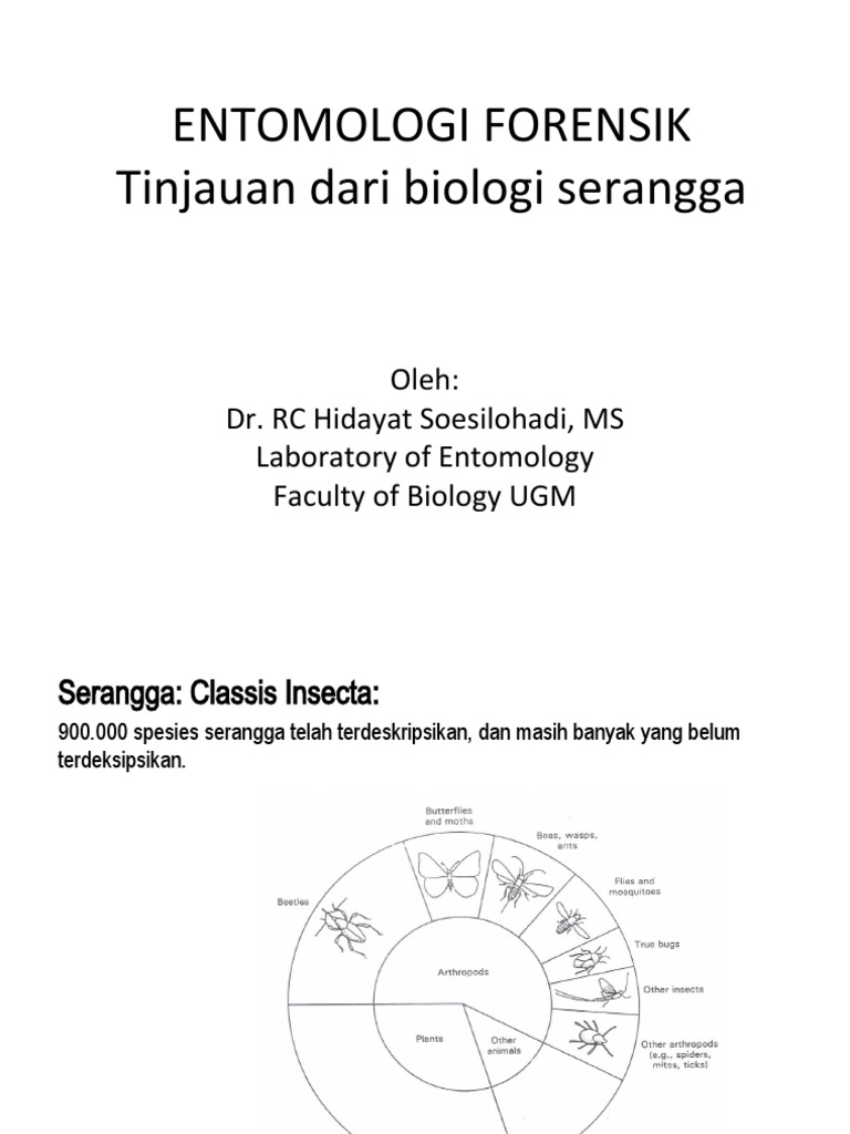 Forensik Entomologi: Metode dan Manfaat | PDF | Pupa | Fly