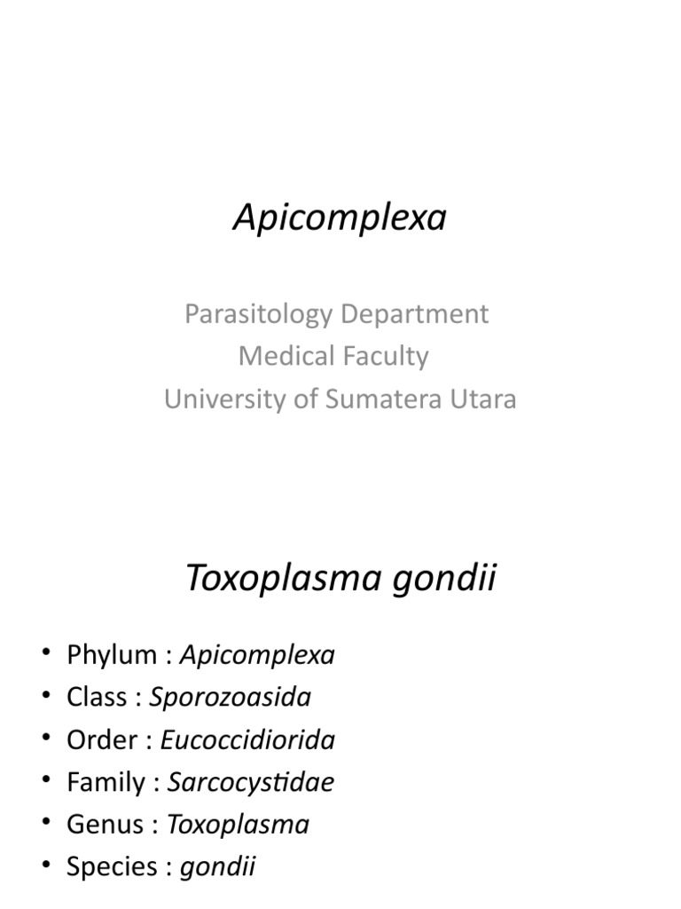 Apicomplexa: Parasitology Department Medical Faculty University of ...