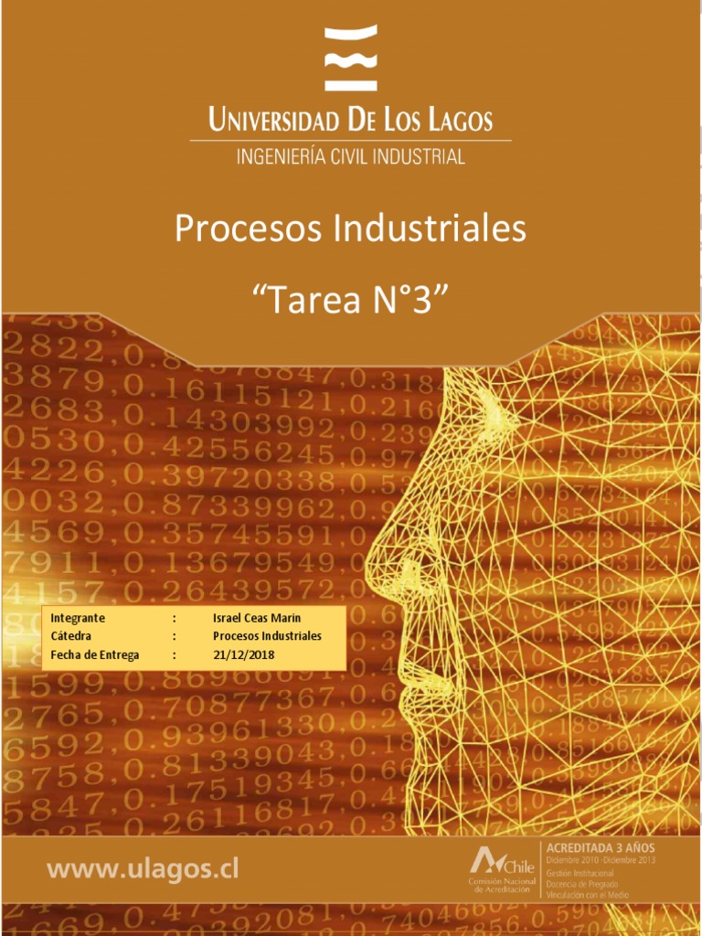 Tarea N°3 Procesos Industriales | PDF | Fase (materia) | Transferencia ...