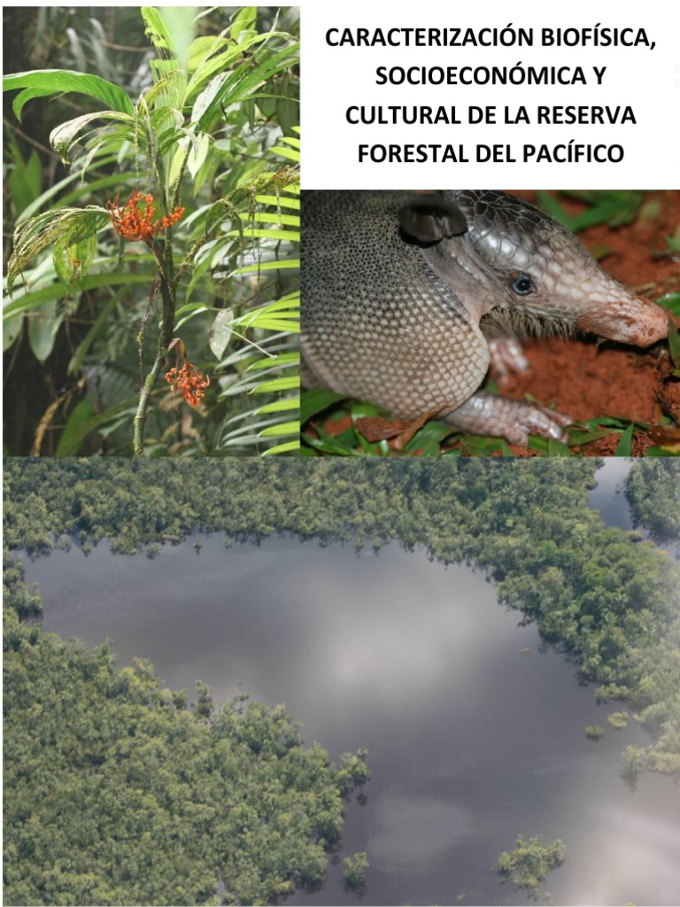 Aqua Setup 2012 E | PDF | Sistema de información geográfica | Biogeografia