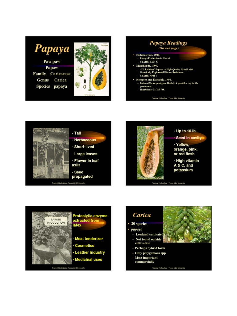 3 5papaya | PDF | Branches Of Botany | Organisms