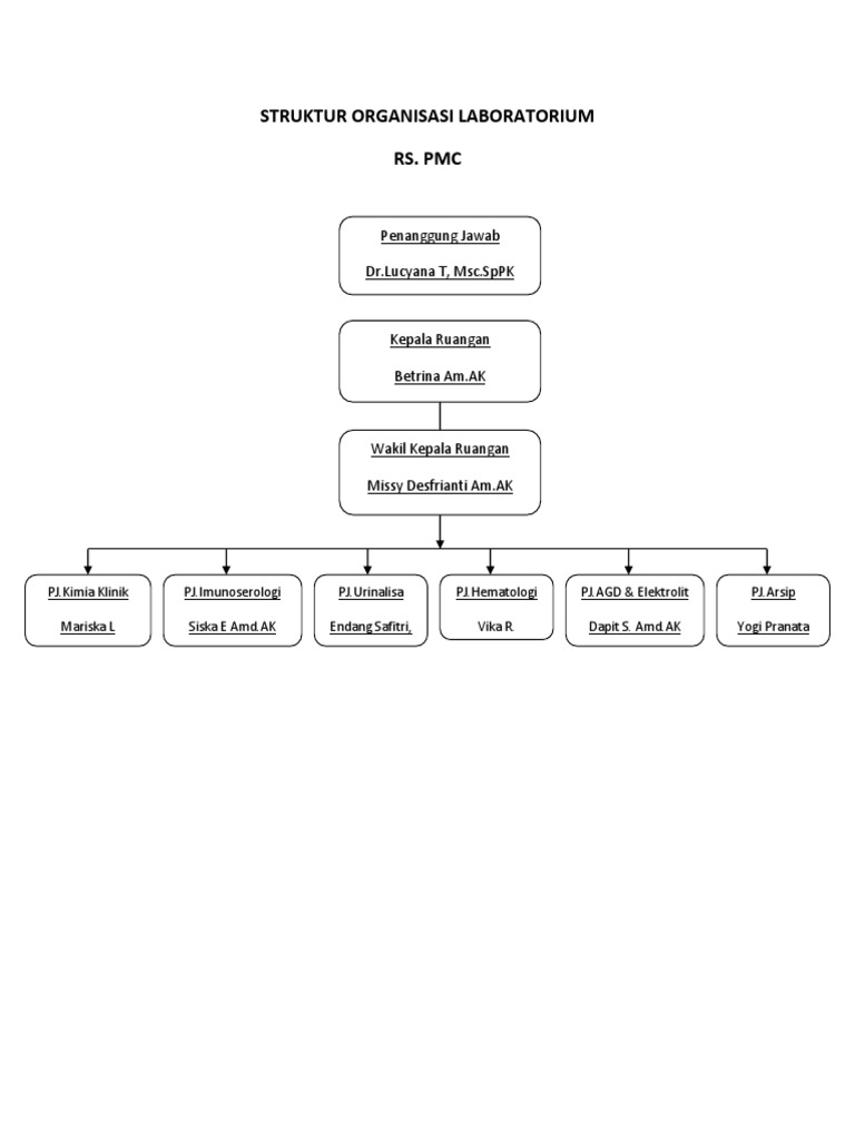 The Organizational Structure of the Laboratory Department at PMC ...