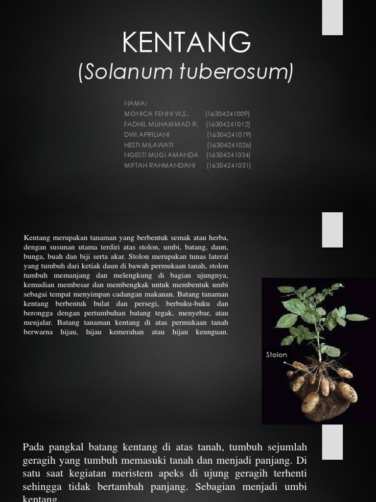 Ken Tang | PDF | Sains & Matematika