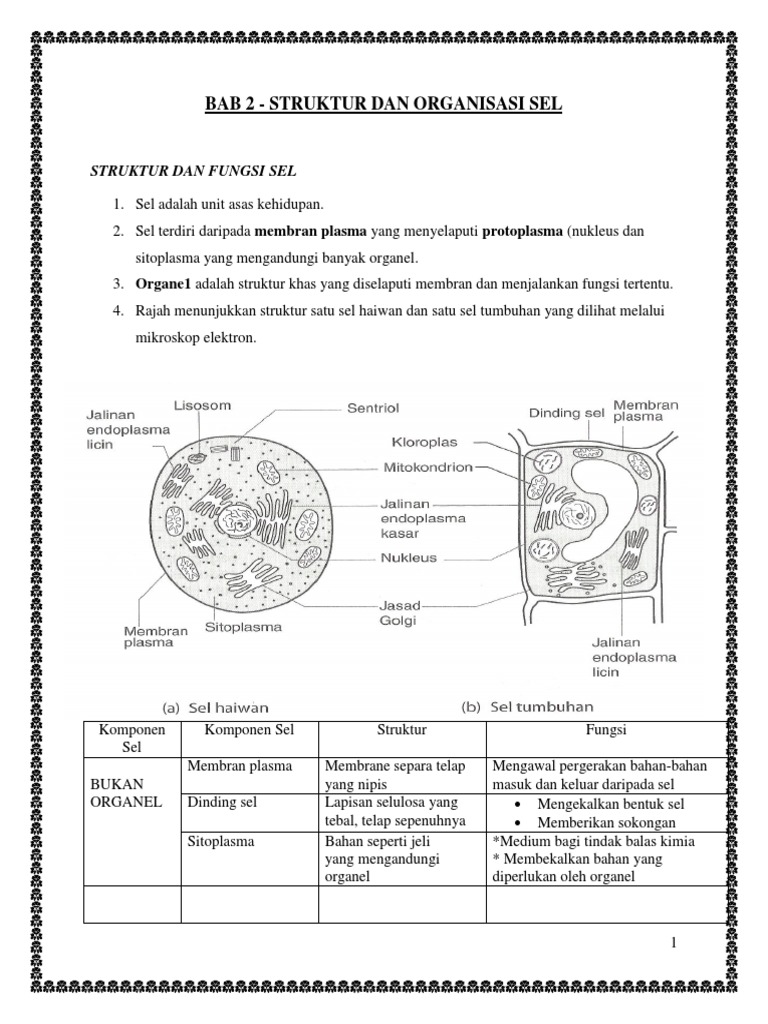 BAB 2 Bio Ting 4 | PDF