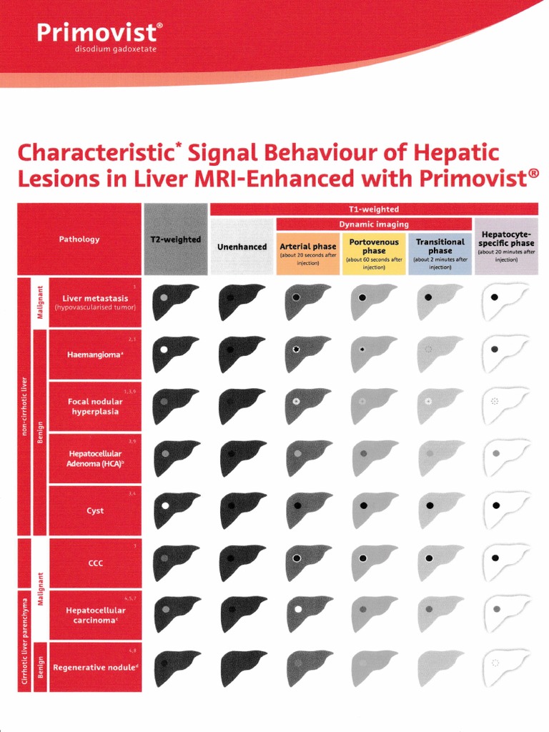 Primo Vist | PDF | Human Anatomy | Anatomy