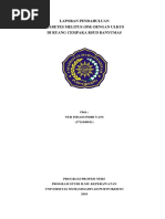 LP DM Tipe 2 | PDF | Kesehatan Holistik | Sains & Matematika