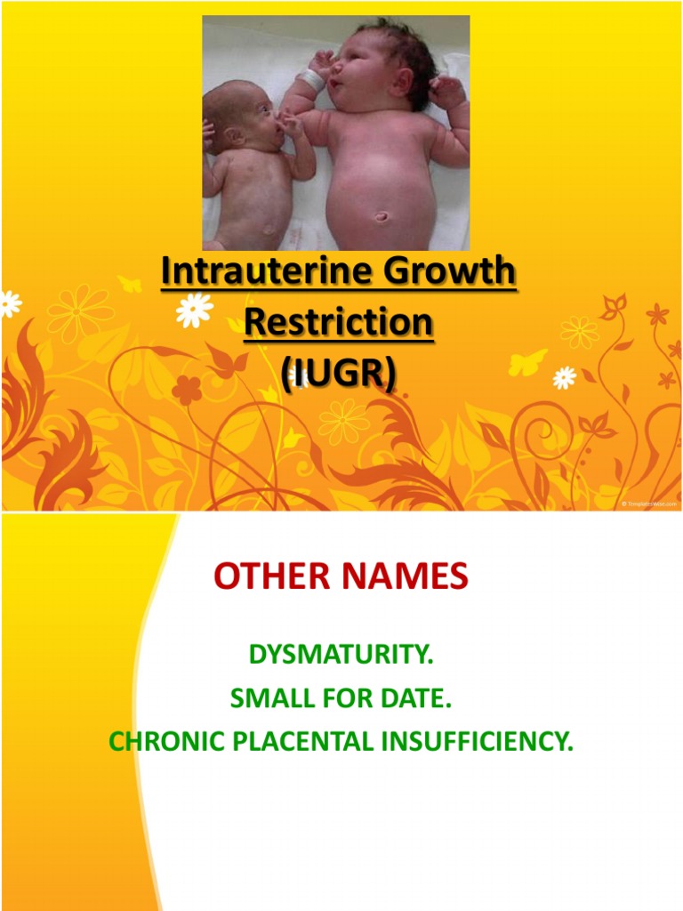 Iugr Final Ppt | Fetus | Mammalian Pregnancy
