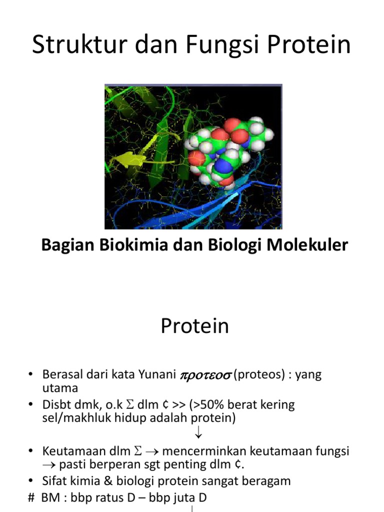 Struktur Dan Fungsi Protein | PDF | Sains & Matematika
